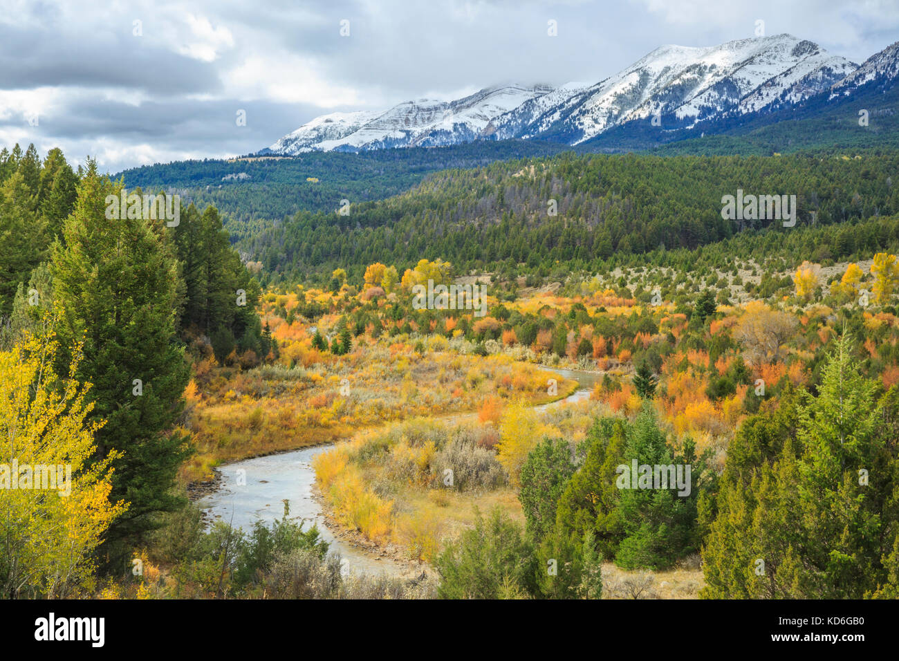 fall colors along the ruby river below the snowcrest range near alder ...