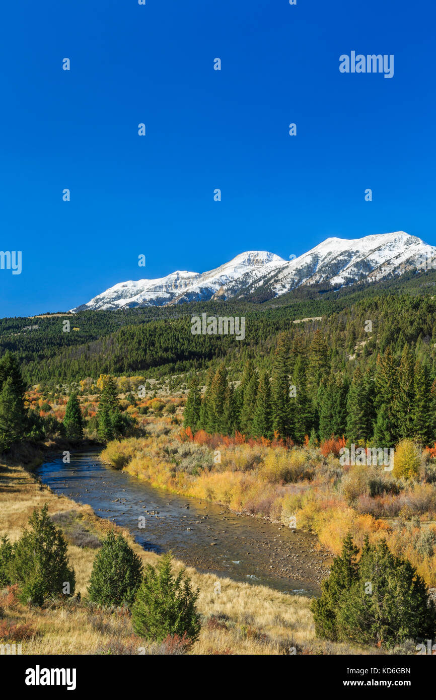 Beaverhead National Forest Stock Photos & Beaverhead National Forest ...