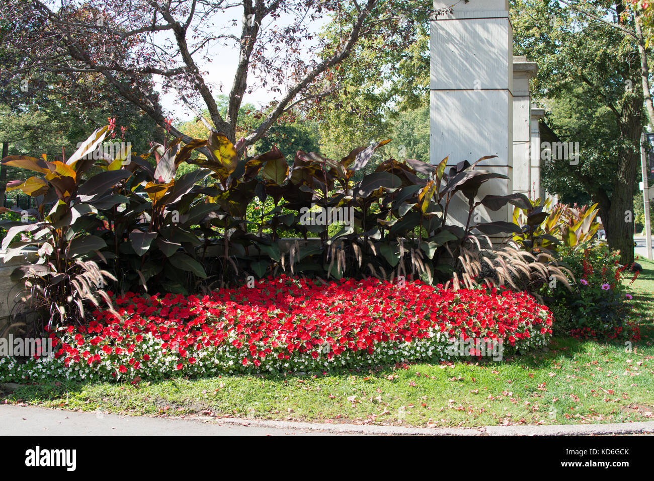 Casa Loma plants in the garden red beautiful type colour plant gardens ...