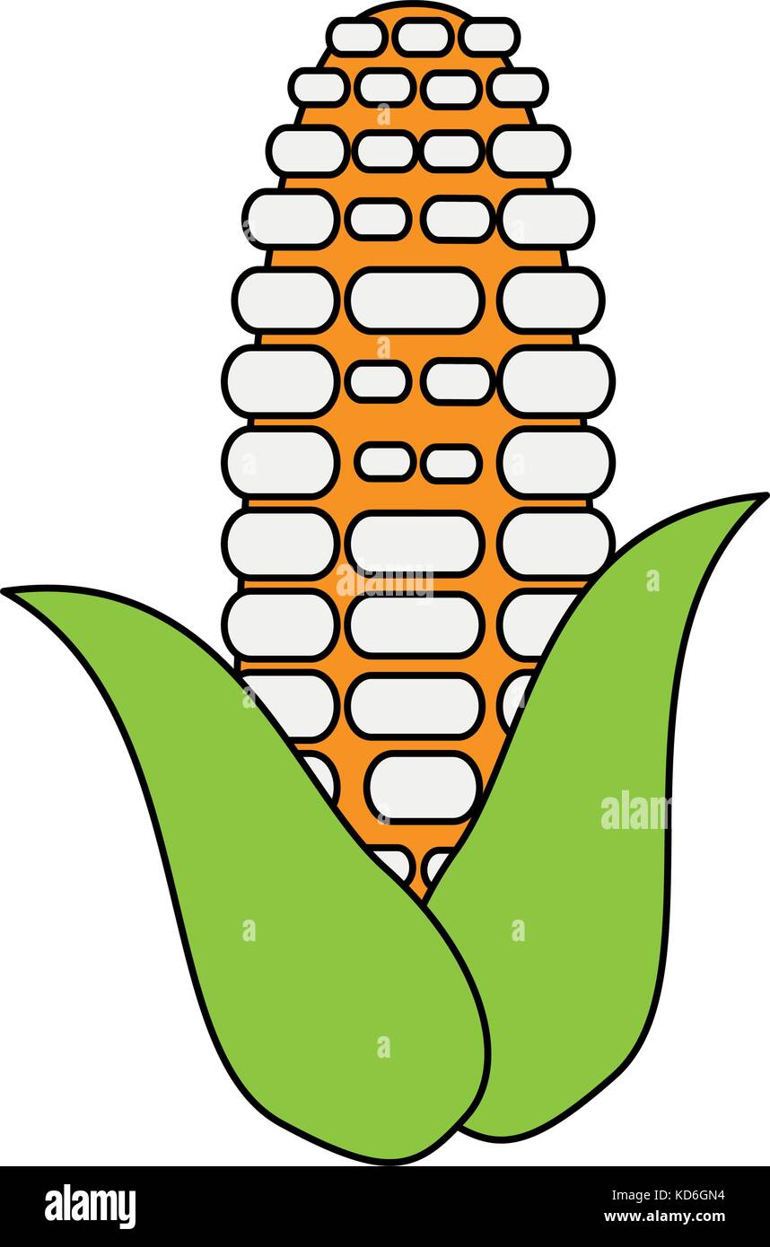 corn knob vegetable icon image vector illustration design Stock Vector ...