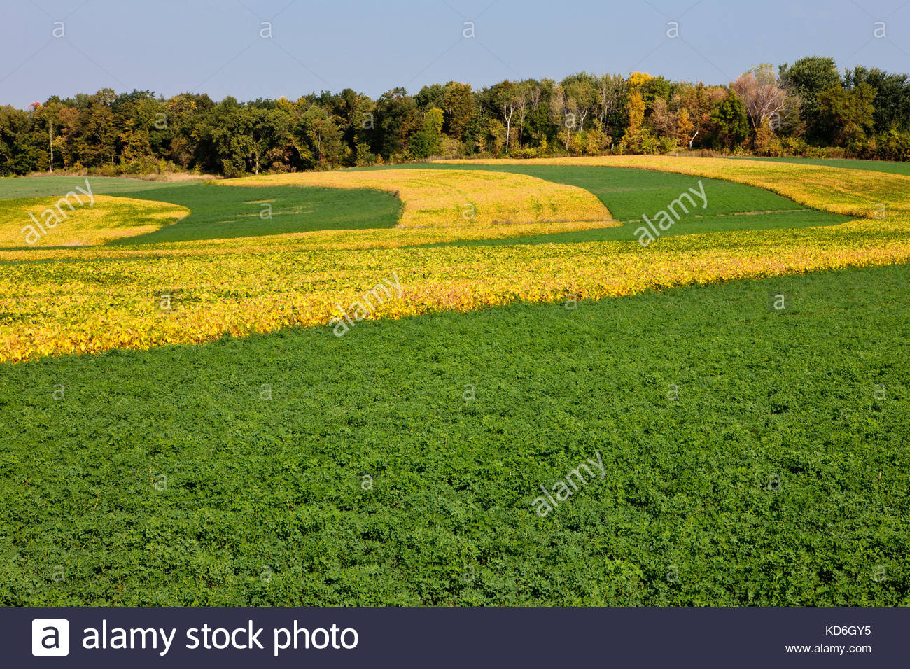 Strip Cropping Stock Photos & Strip Cropping Stock Images - Alamy