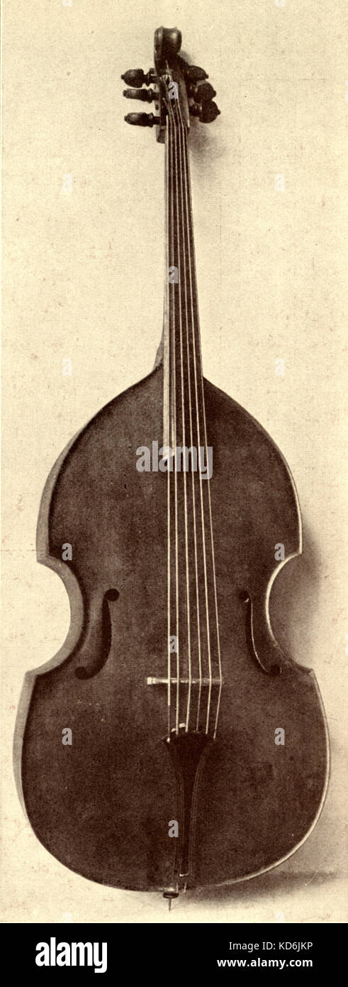 Double bass viola da gamba by Ventura Linarolo, Padua, 1585. Vienna ...
