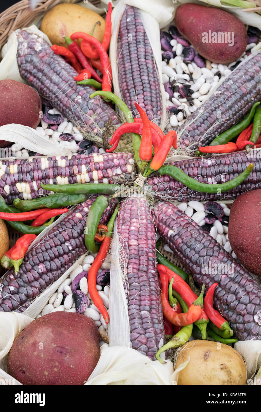 Double red sweet corn hi-res stock photography and images - Alamy
