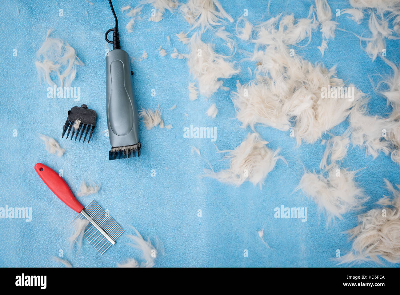 Dog fur cutting tools on the blue surface Stock Photo - Alamy