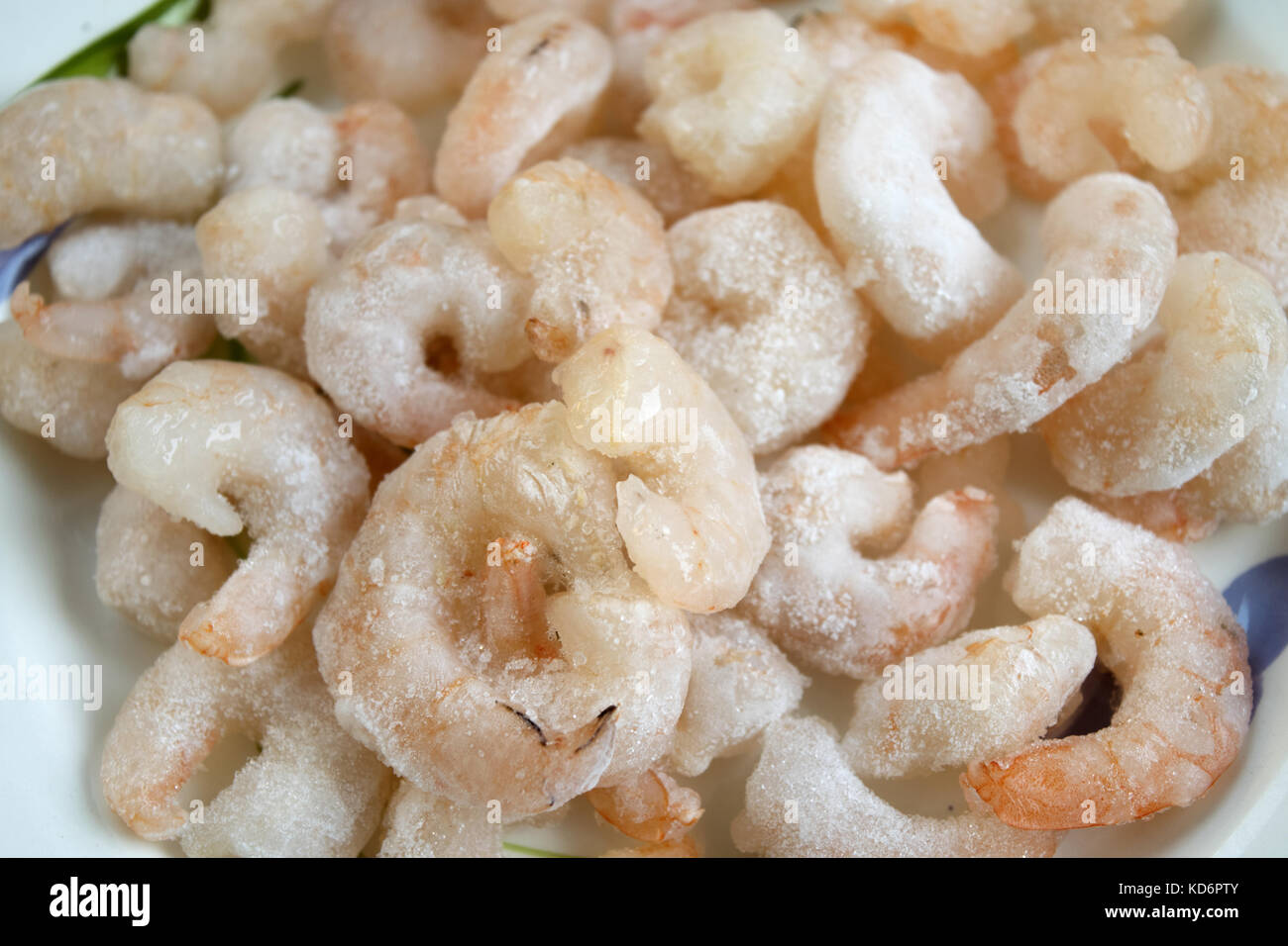 frozen shrimps put in a dish to defrost Stock Photo - Alamy