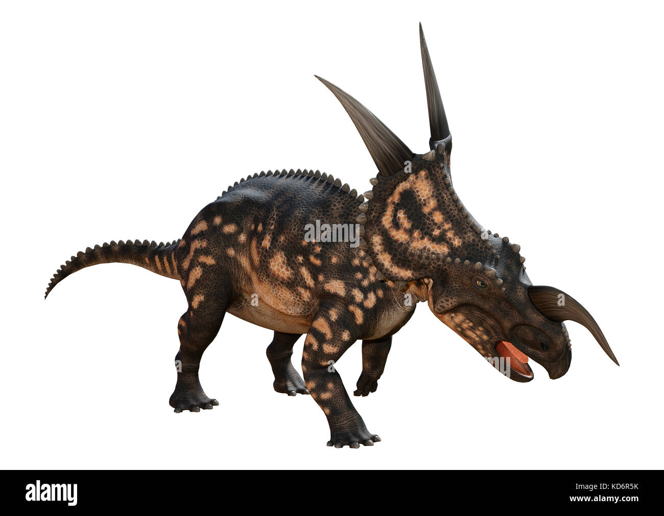 3D rendering of a dinosaur Einiosaurus isolated on white background ...