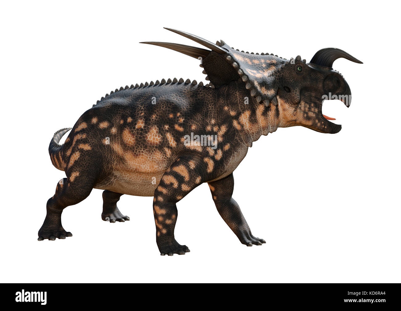 3D rendering of a dinosaur Einiosaurus isolated on white background ...