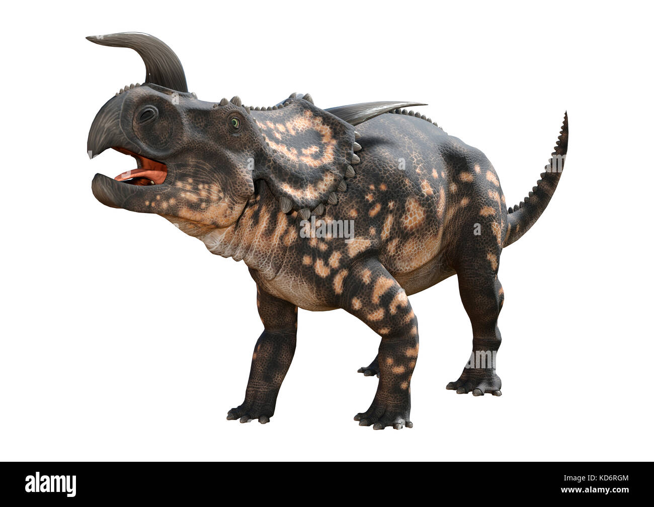 3D rendering of a dinosaur Einiosaurus isolated on white background ...