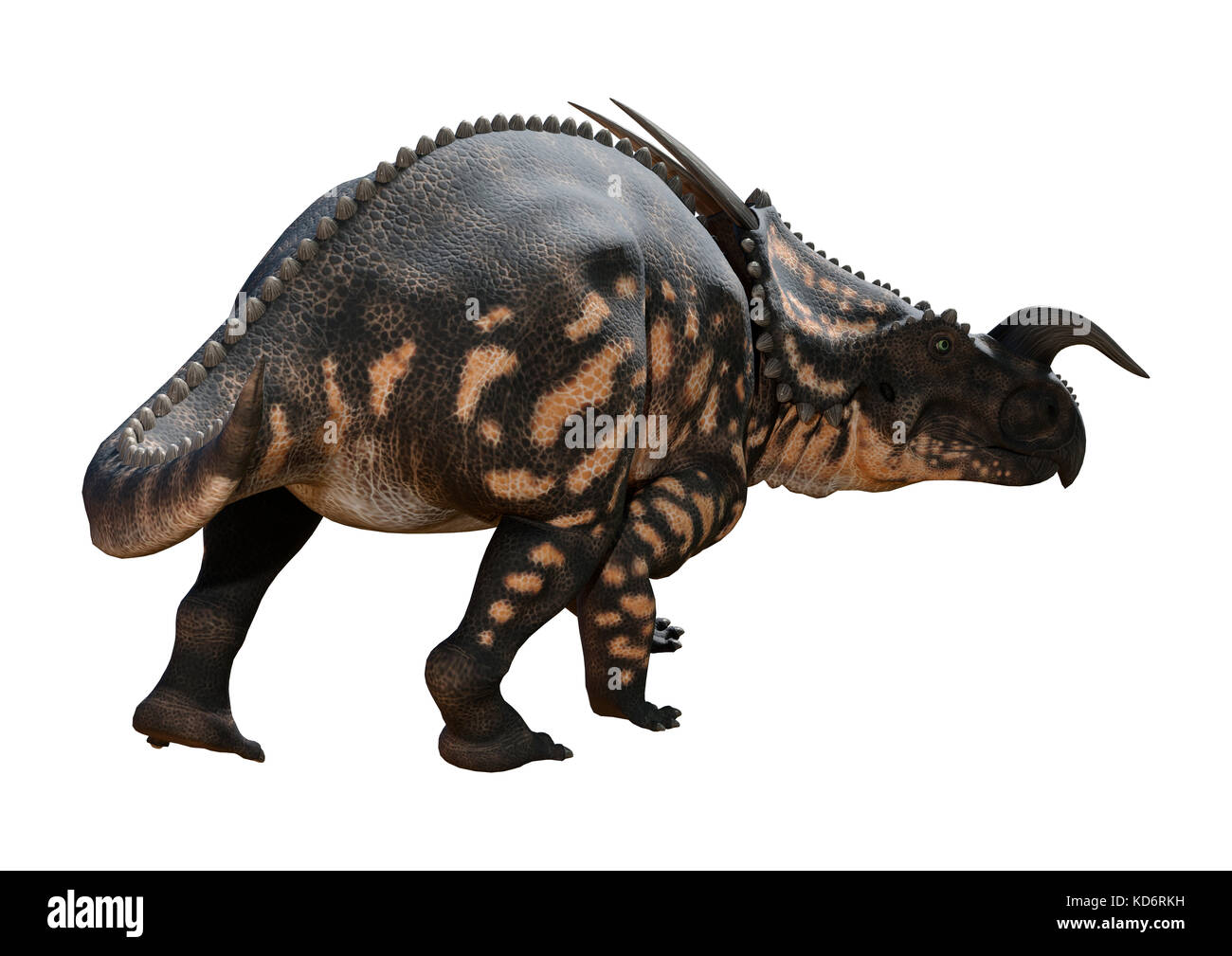 3D rendering of a dinosaur Einiosaurus isolated on white background ...