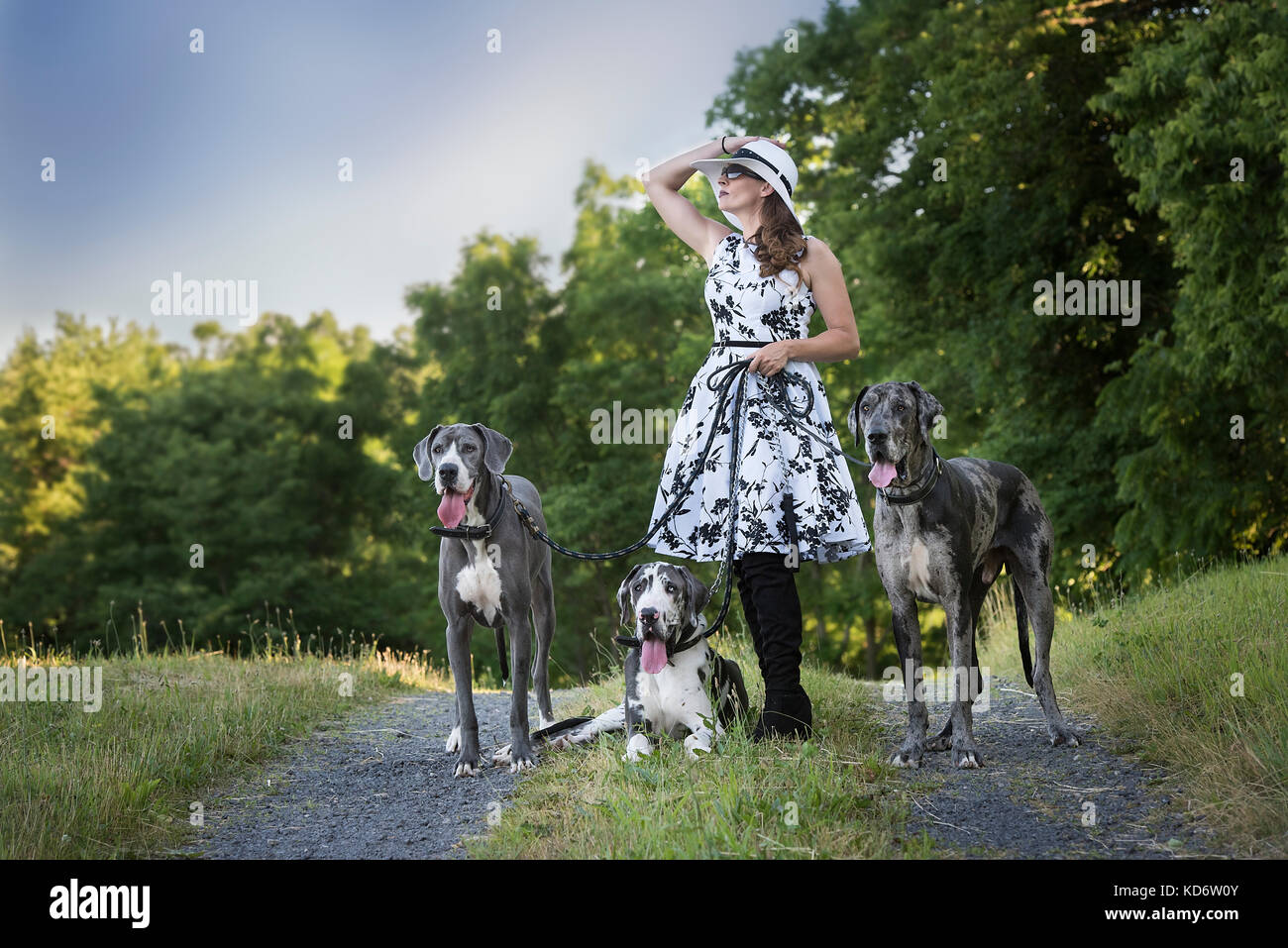 Woman and 3 dogs hi-res stock photography and images - Alamy