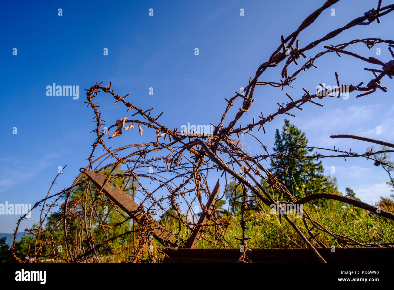 Ww1 battlefield barbed wire hi-res stock photography and images - Alamy