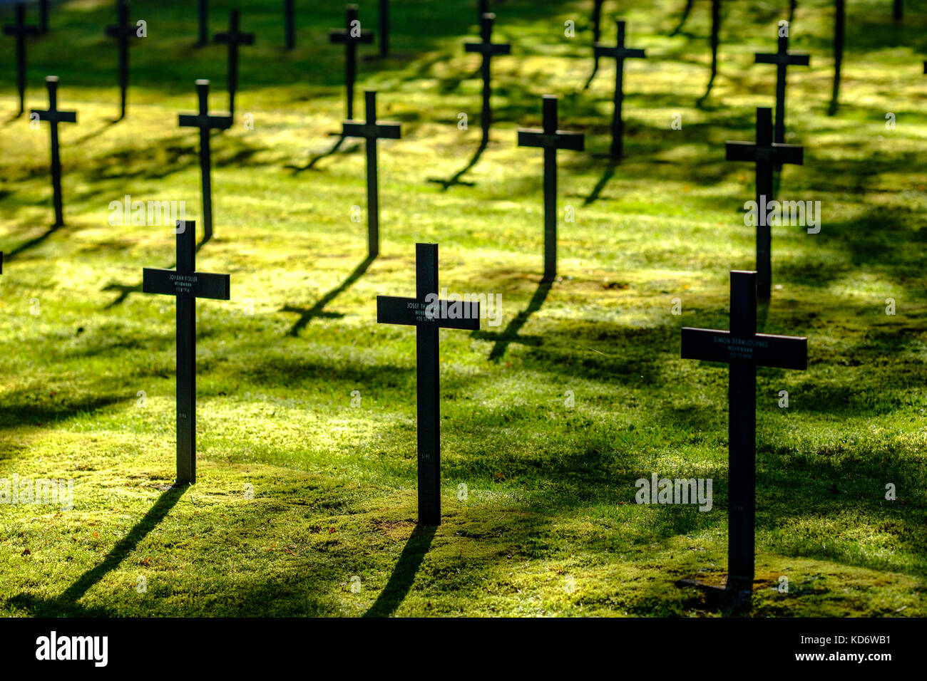 Ww1 cemetery crosses hi-res stock photography and images - Alamy
