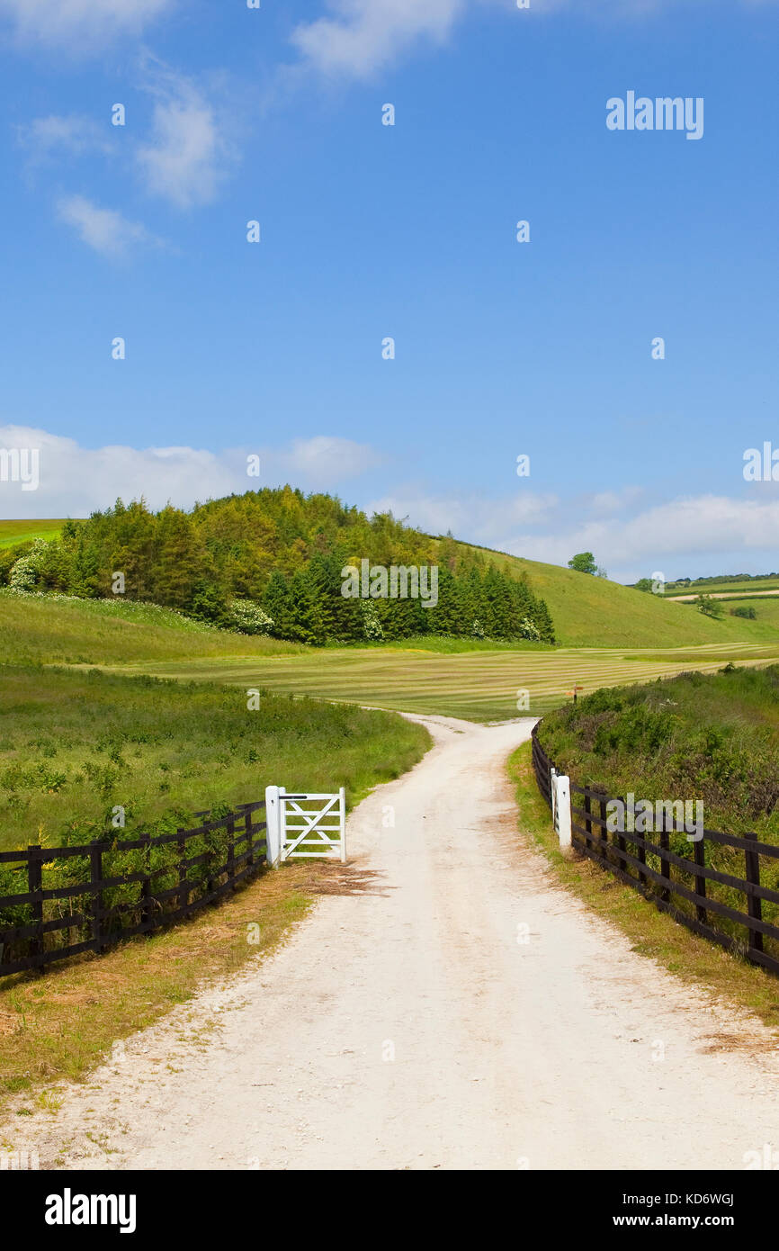 a limestone farm track and bridleway going through green hills with ...