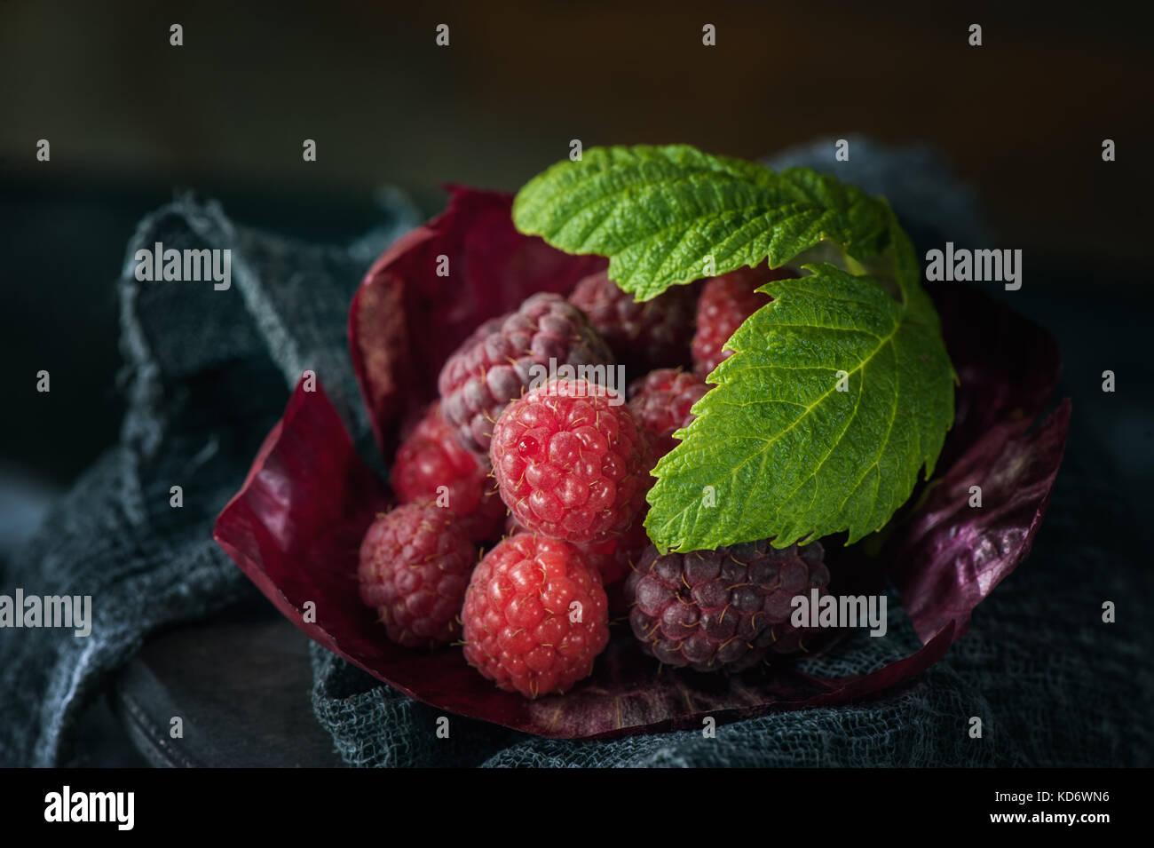 Ripe red raspberry with green leaf closeup. The horizontal frame Stock ...