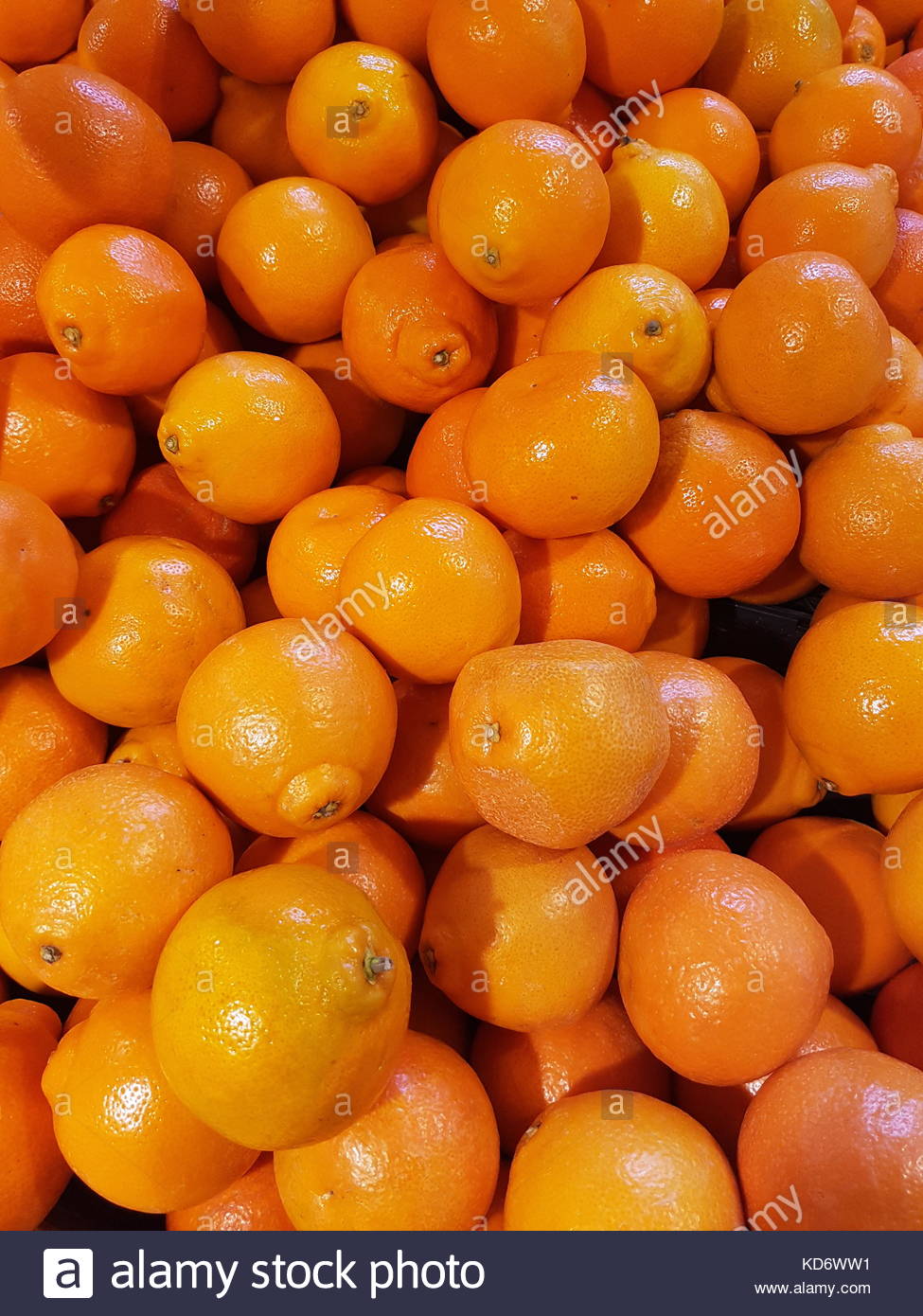 Tangelo Fruit Stock Photos & Tangelo Fruit Stock Images - Alamy