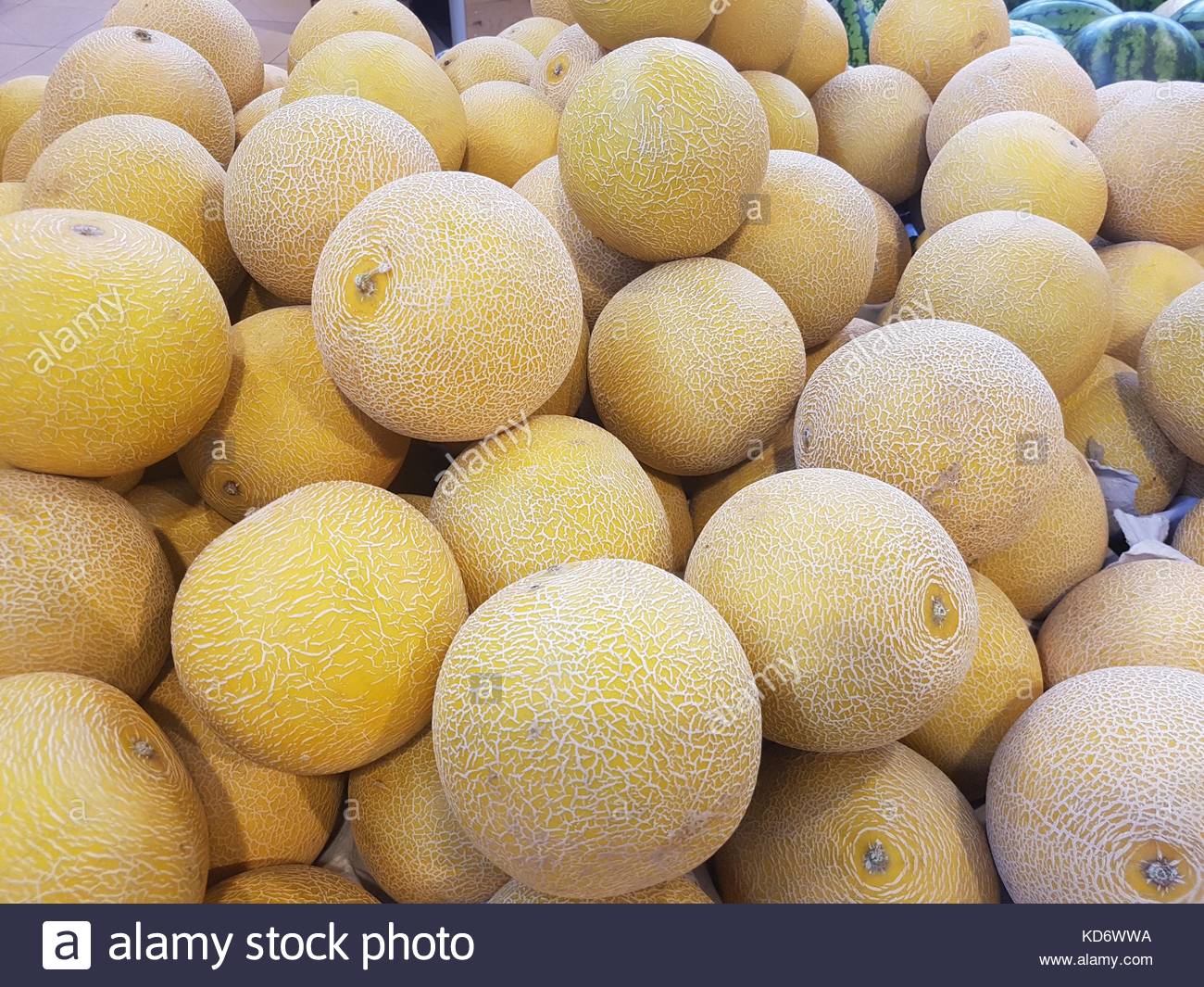 Muskmelon Stock Photos & Muskmelon Stock Images - Alamy