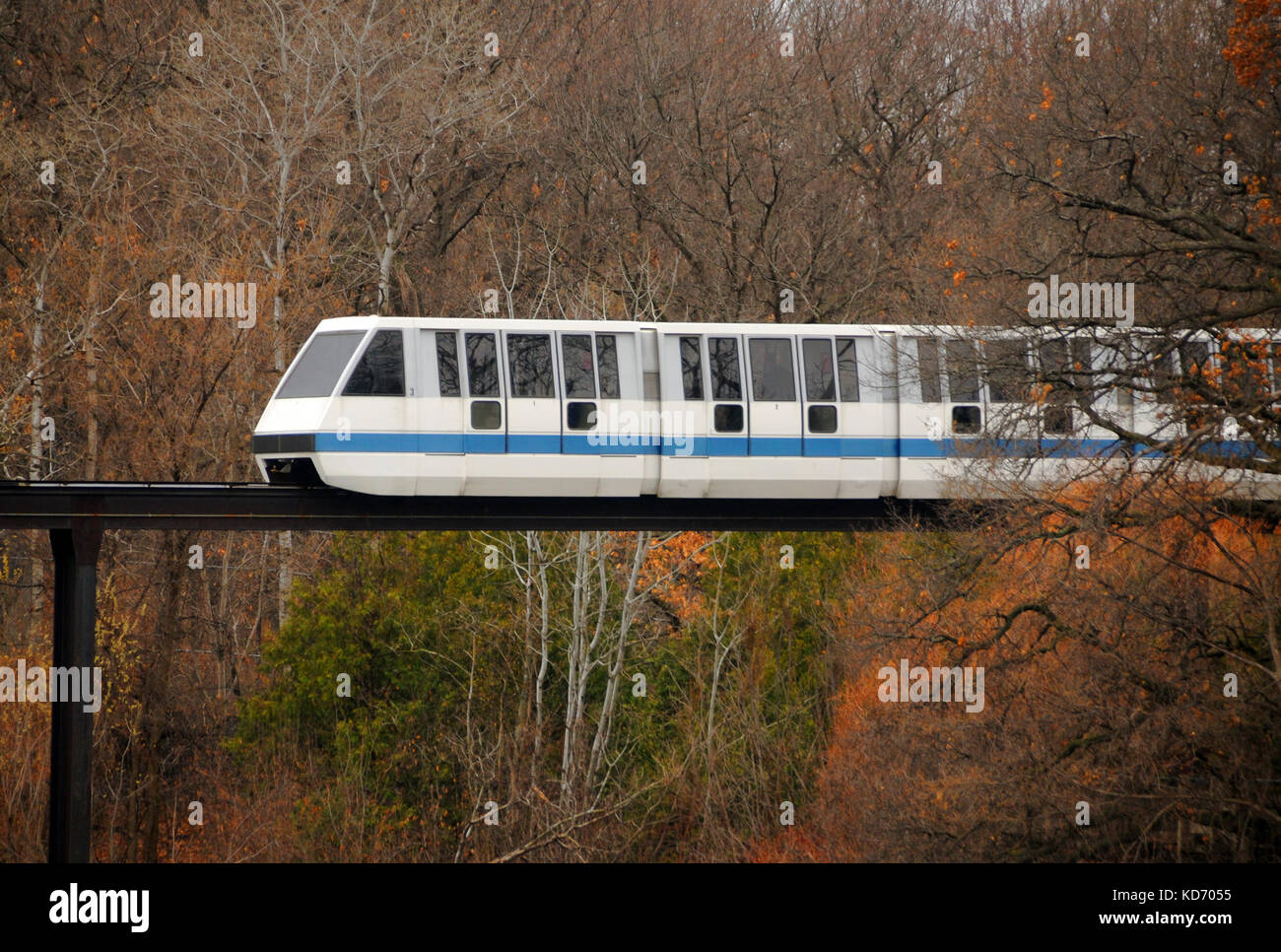 Train running through forest Stock Photo - Alamy