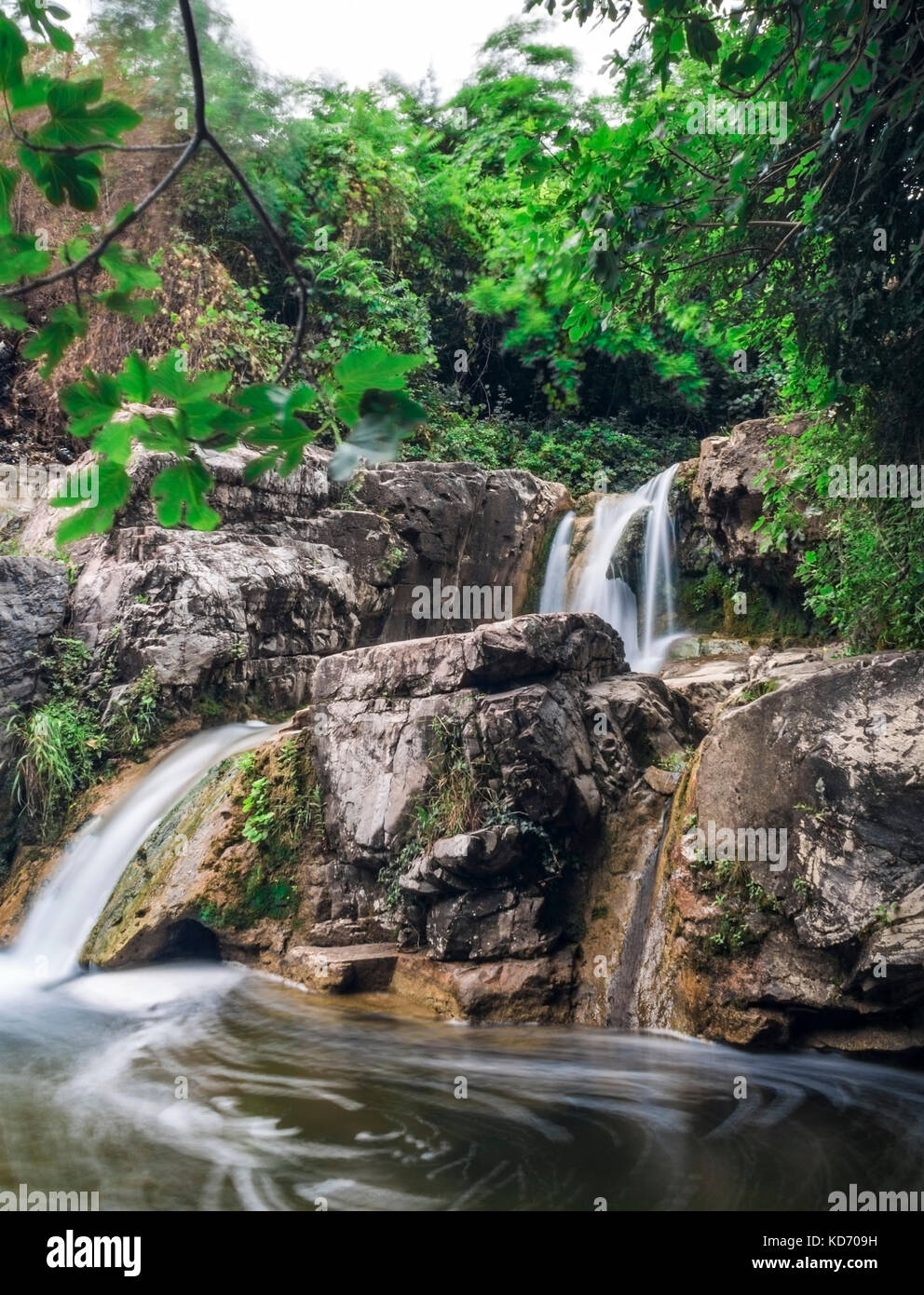 Waterfall in the jungle Stock Photo - Alamy