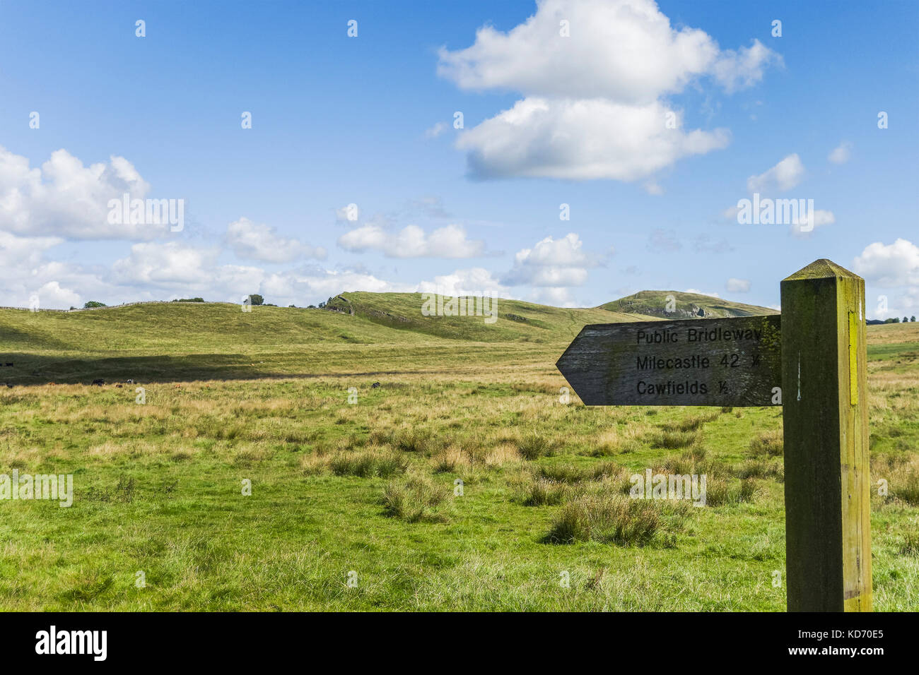 British landscape featuring Northumberland, with a public footpath sign ...