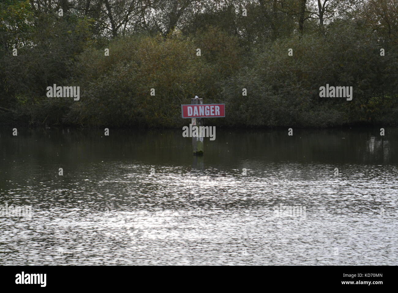 Danger sign post on river UK Stock Photo - Alamy