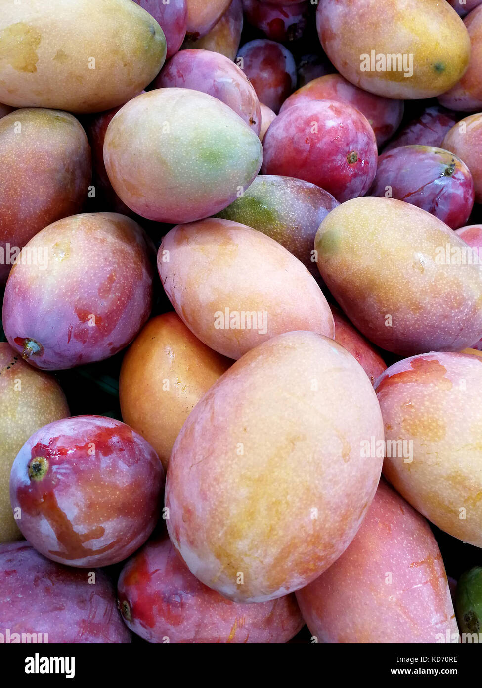 mature mangoes on the market Stock Photo - Alamy