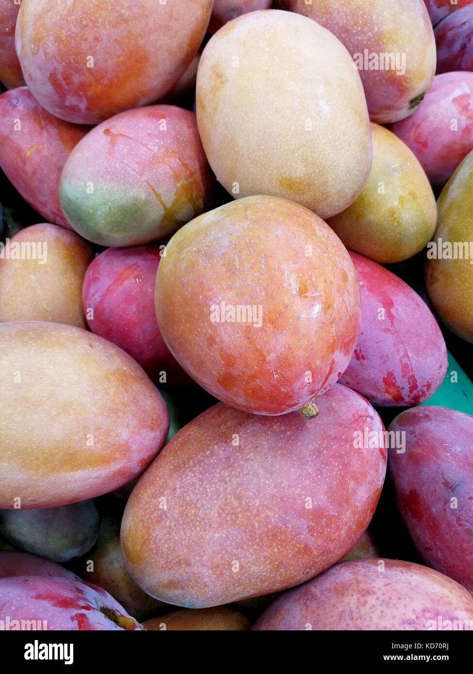 mature mangoes on the market Stock Photo - Alamy