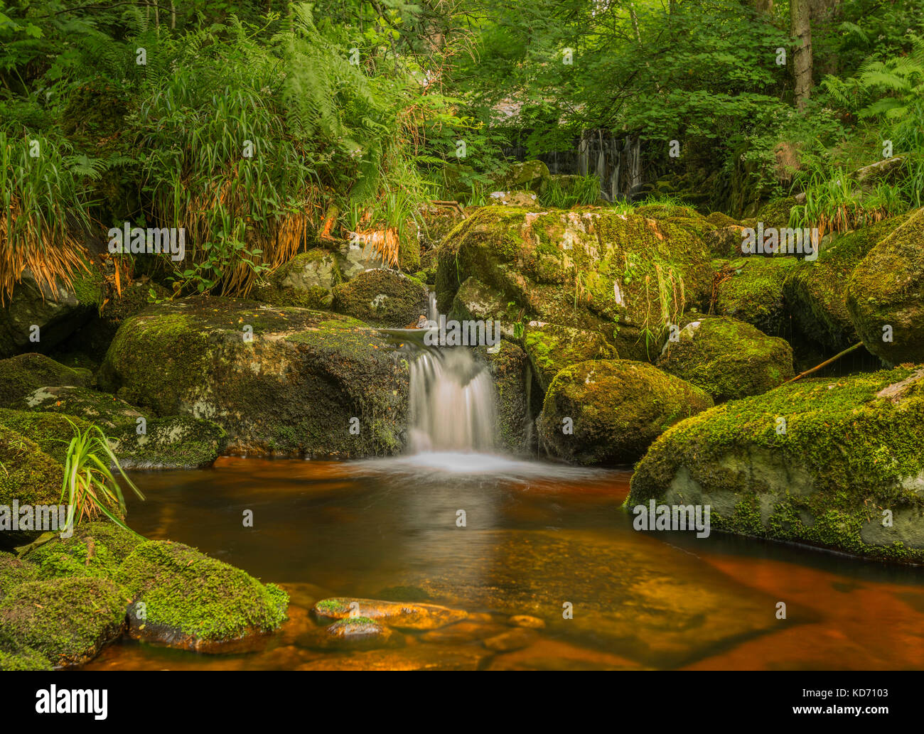 Stunning Natural Scenery at Glencree River, Co.Wicklow, Ireland. Mossy ...