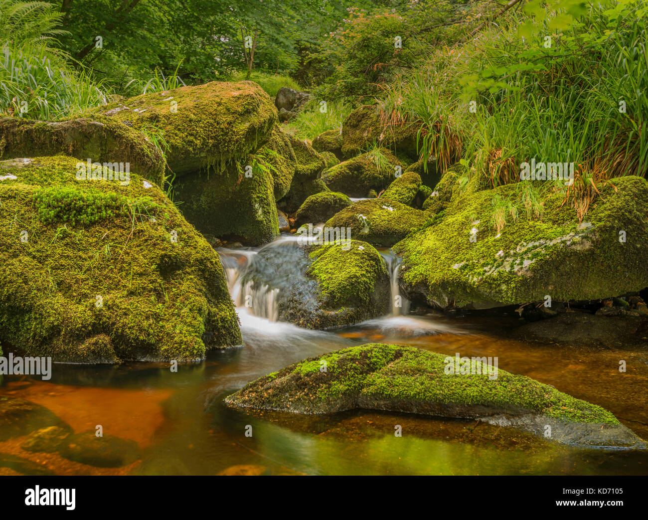 Stunning Natural Scenery at Glencree River, Co.Wicklow, Ireland. Mossy ...