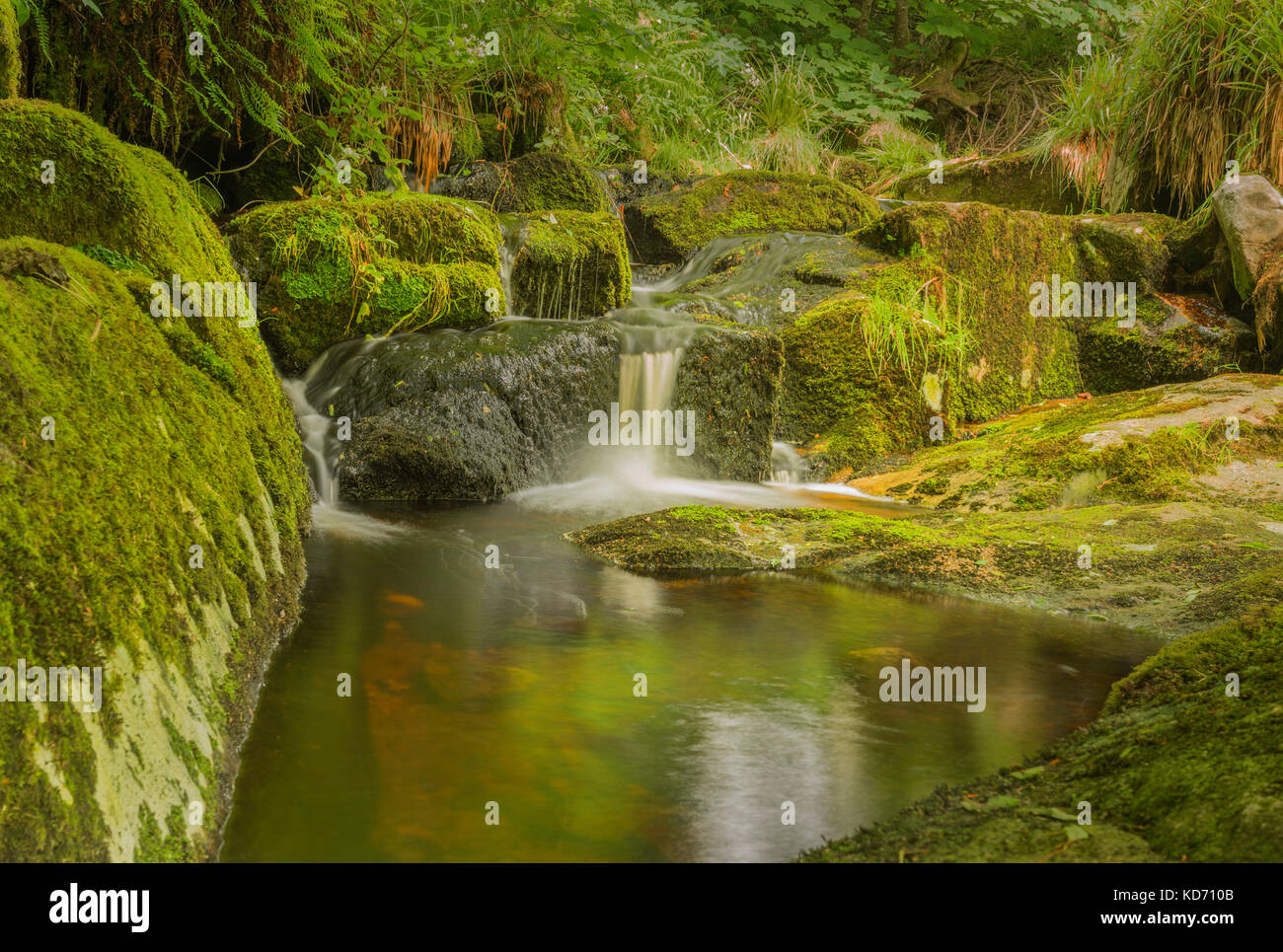 Stunning Natural Scenery at Glencree River, Co.Wicklow, Ireland. Mossy ...