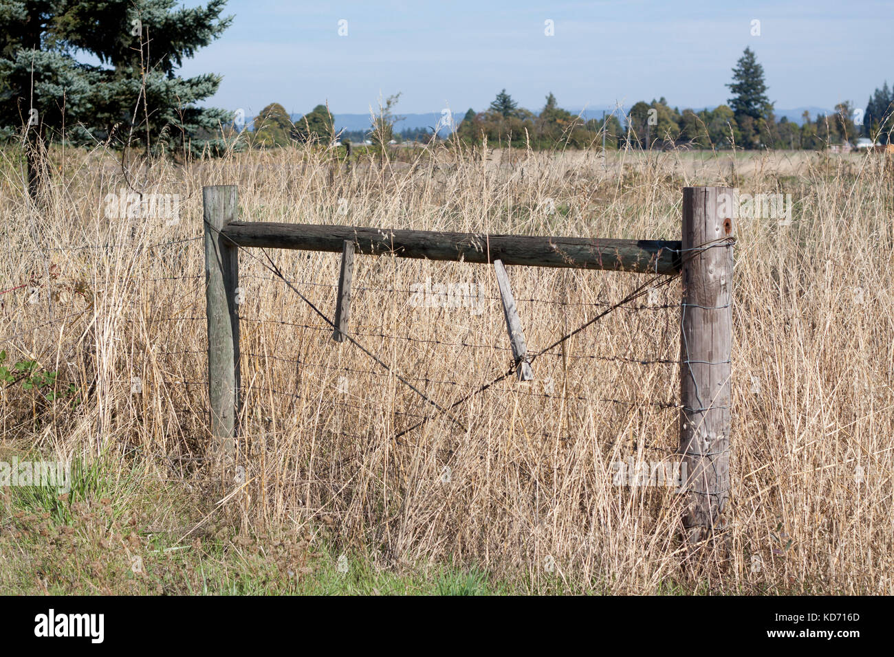 Old wooden gate in field Stock Photo - Alamy