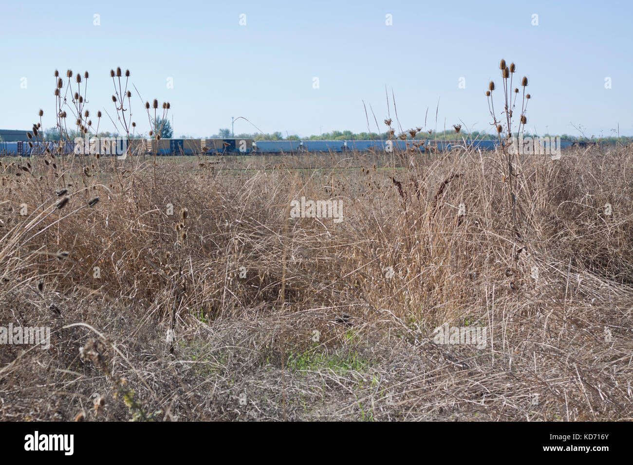 Train across dry field Stock Photo - Alamy
