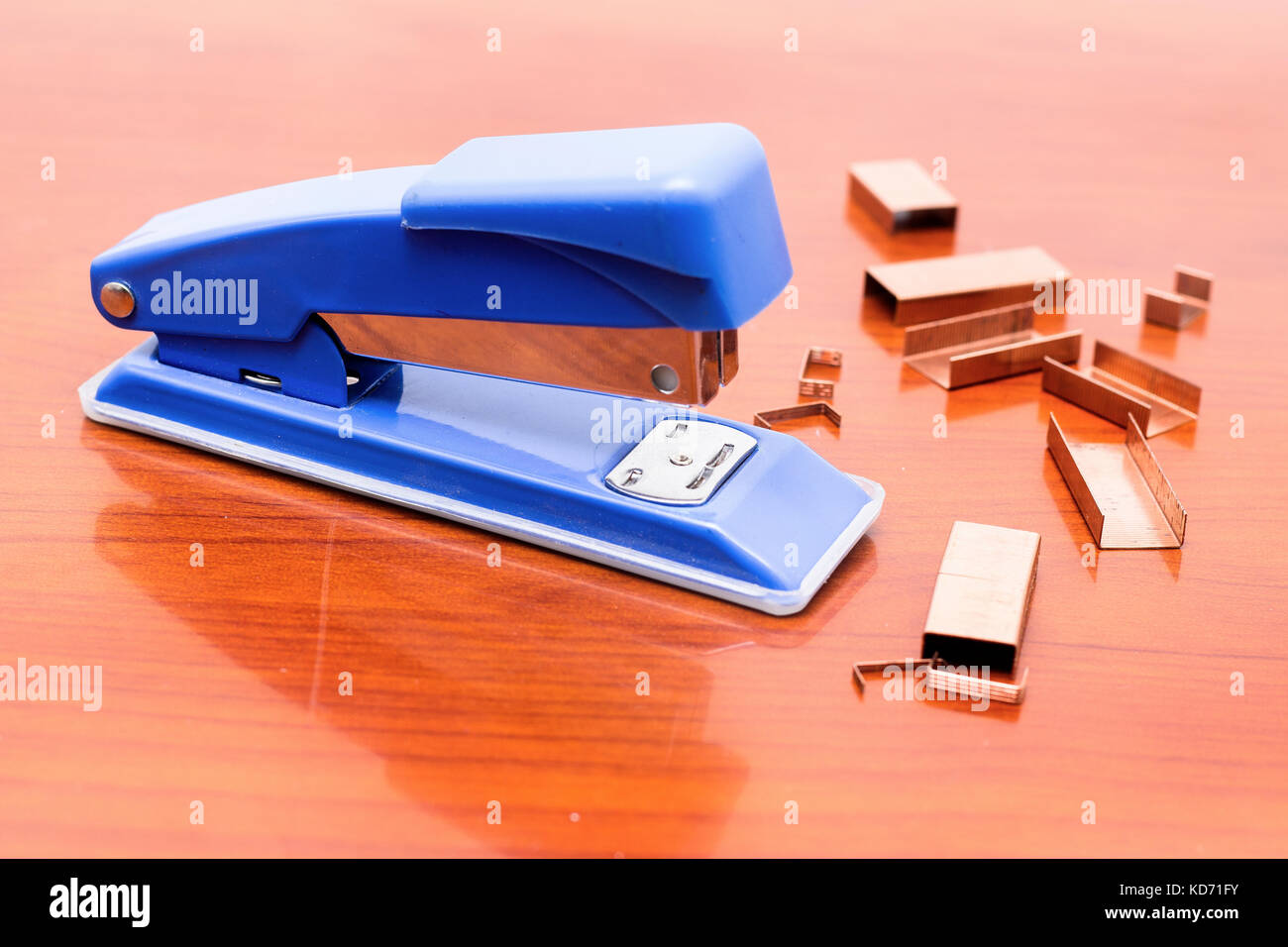 Blue stapler and piles of copper office staples on wooden office ...