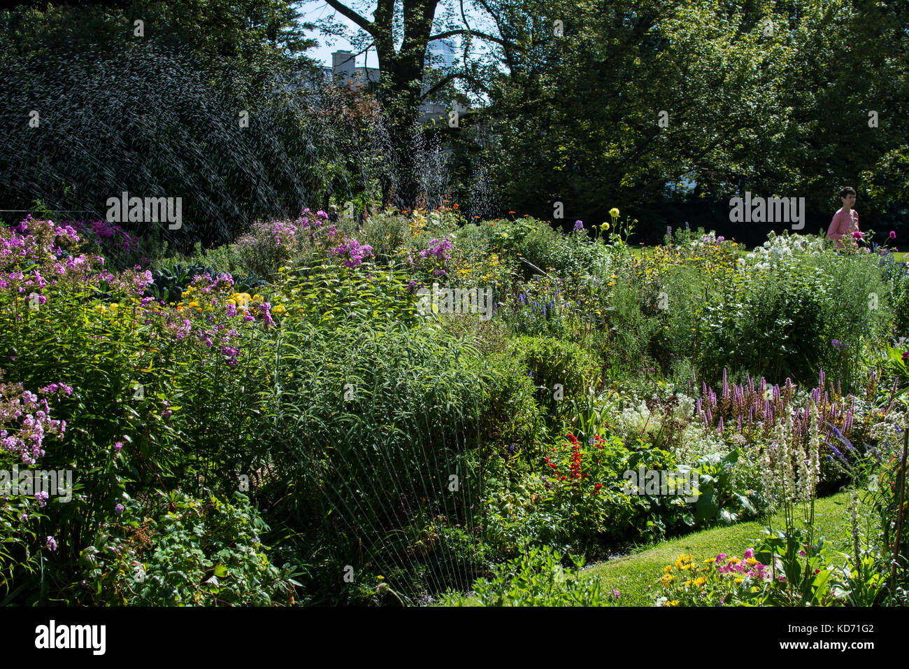 Gardens of Casa Loma Austin Terrace Toronto Canada green plants plant ...