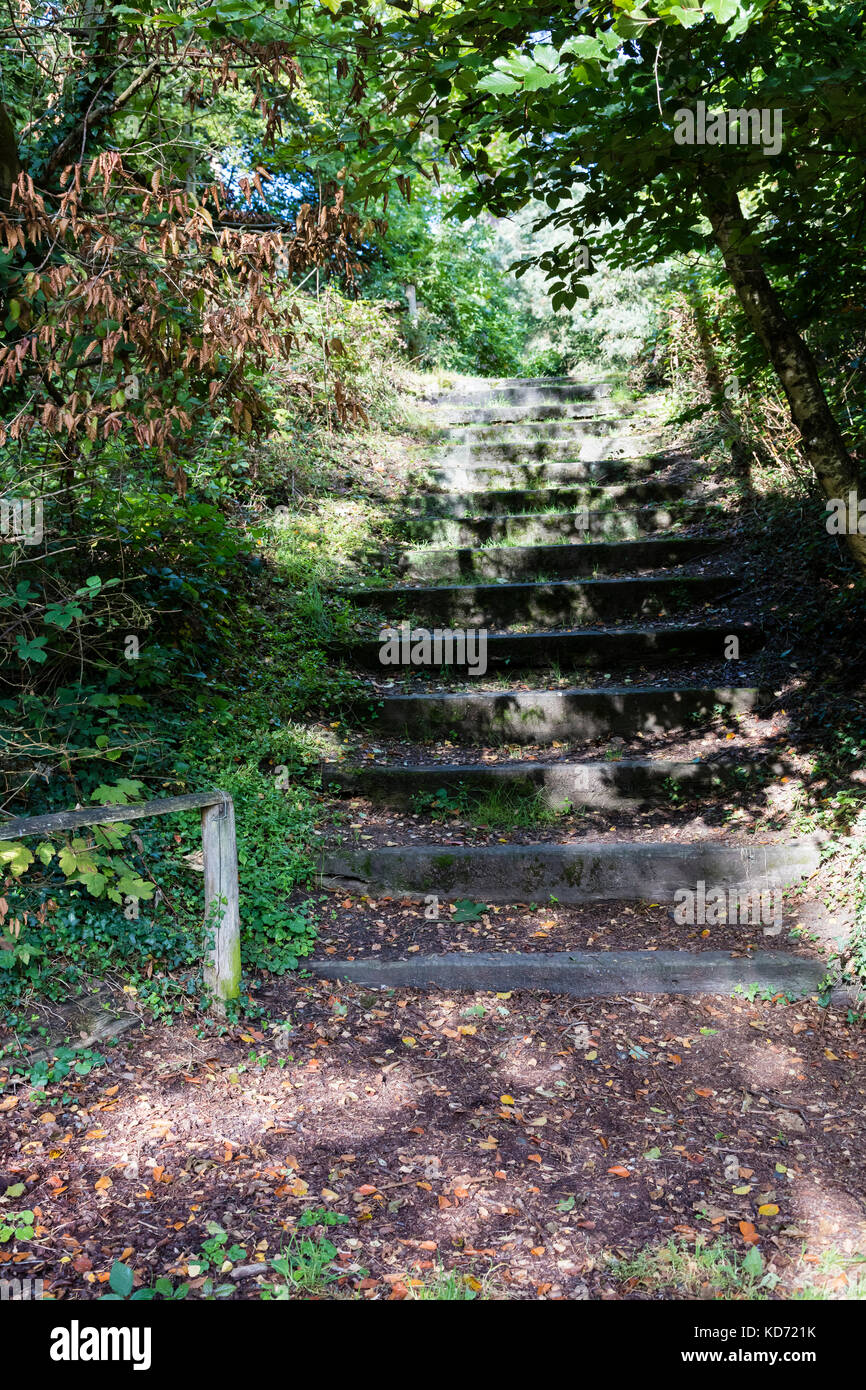 Steps leading up from the car park at Keston Common to the higher ...