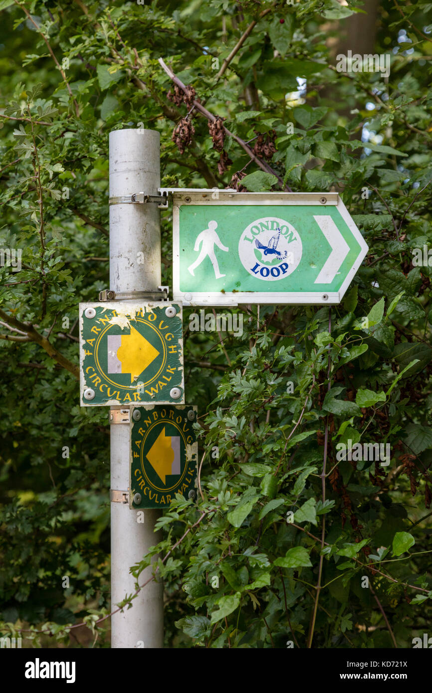 London walk signs hi-res stock photography and images - Alamy