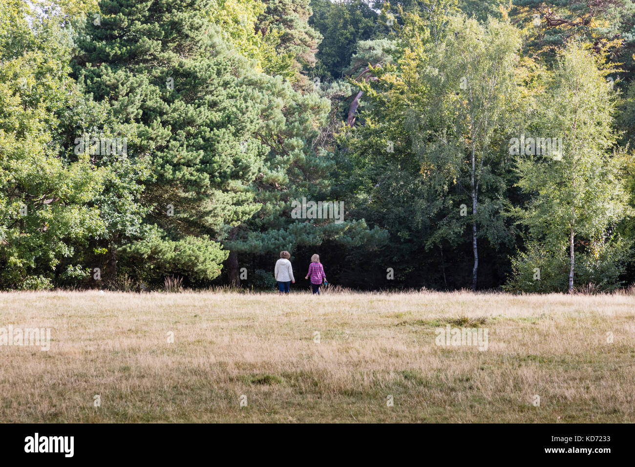 Keston common lakes hi-res stock photography and images - Alamy
