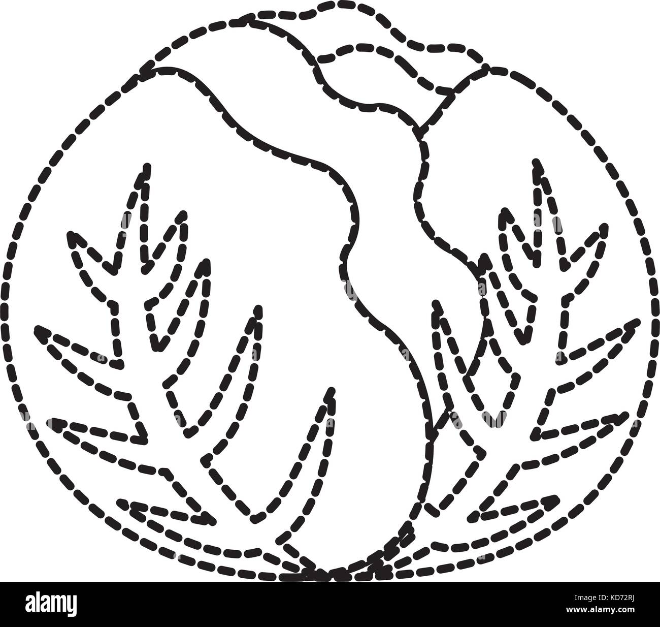 Beautiful cabbage food Stock Vector Images - Alamy