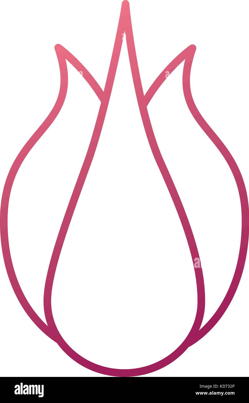 flower stem leaves nature Stock Vector Image & Art - Alamy