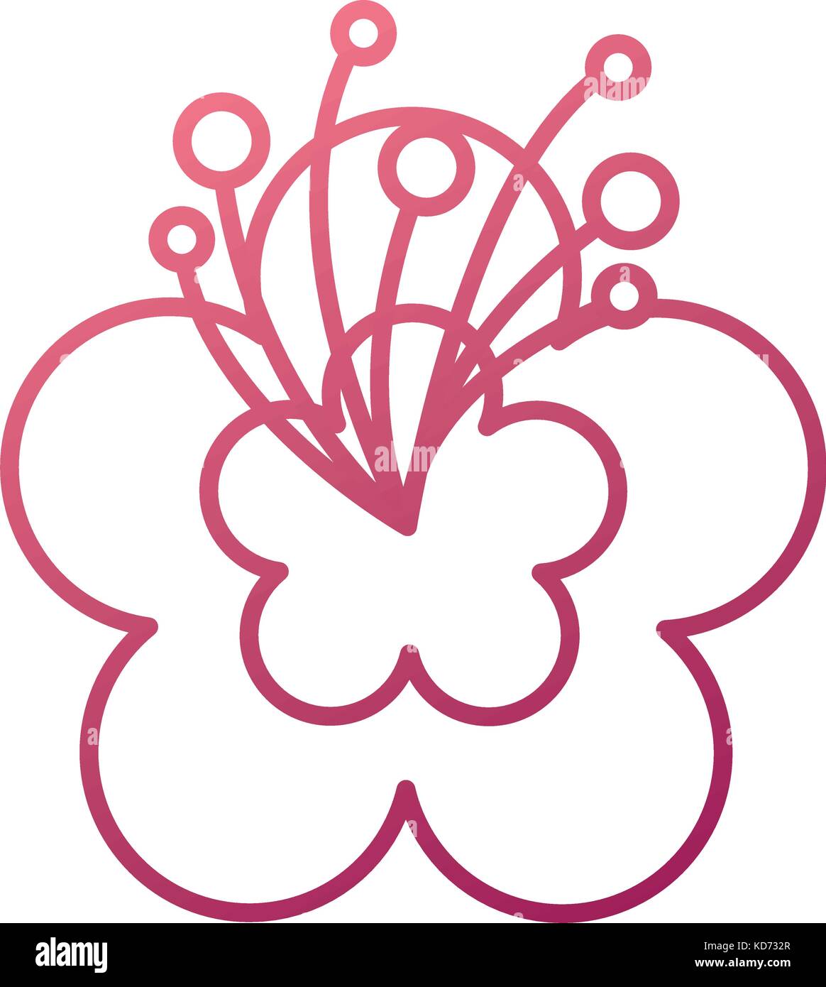 flower stem leaves nature Stock Vector Image & Art - Alamy