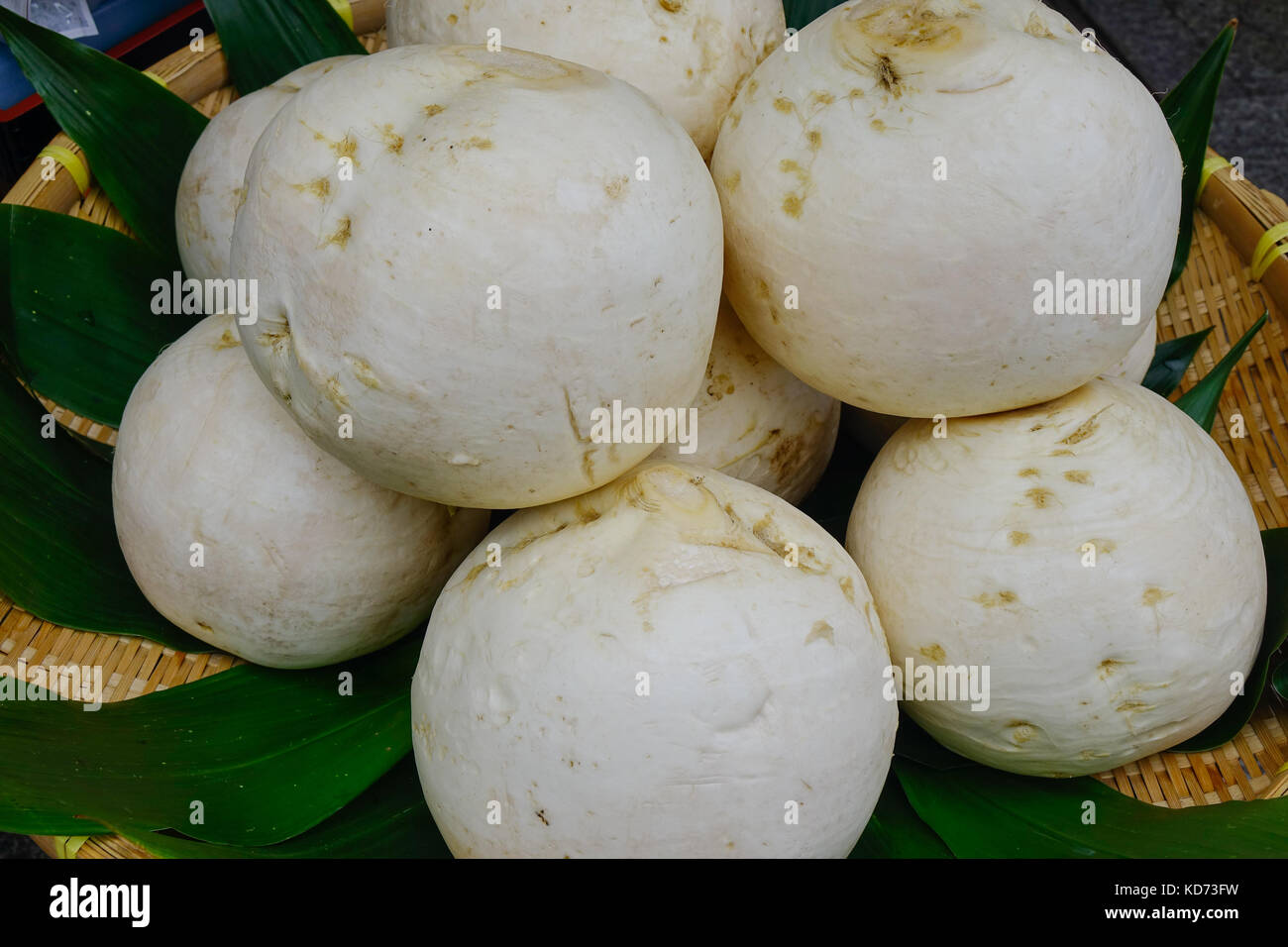 Japanese white radish in the tray for sale at market in Tokyo, Japan ...
