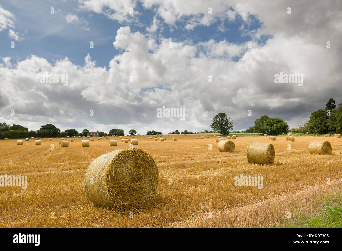 Straw production hi-res stock photography and images - Alamy