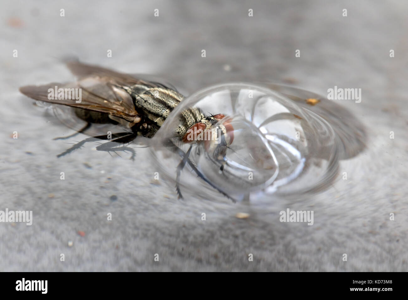 Floats with the flow hi-res stock photography and images - Alamy