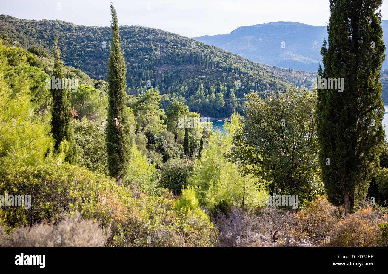 Green wooded hills of western Ithaca with cypress, Aleppo pine and ...