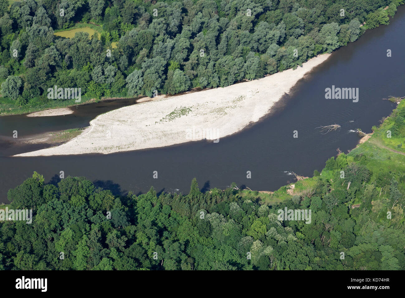 Floodforest hi-res stock photography and images - Alamy