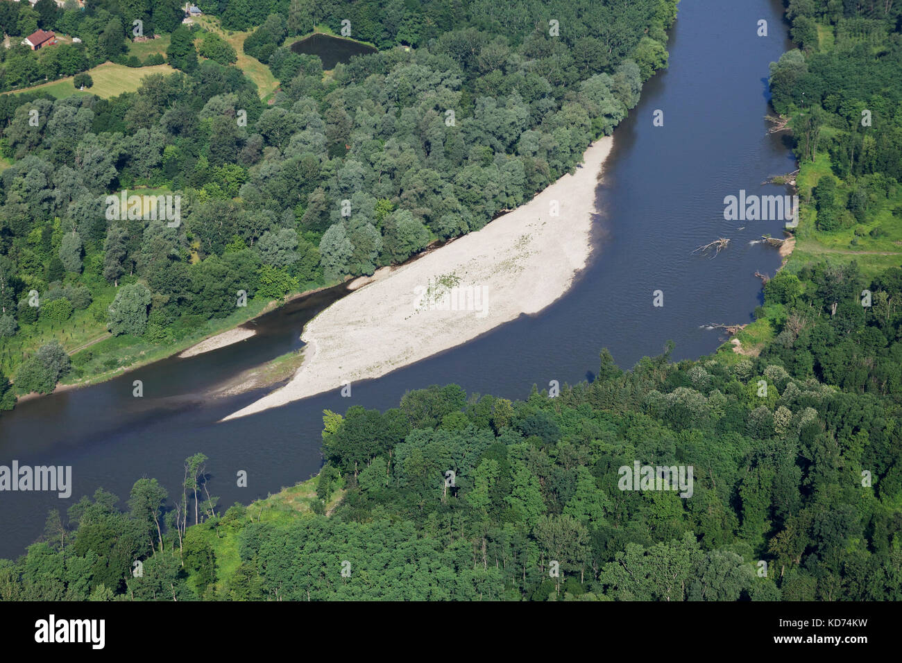 The Mura River in Slovenia in its forested floodplain Stock Photo - Alamy