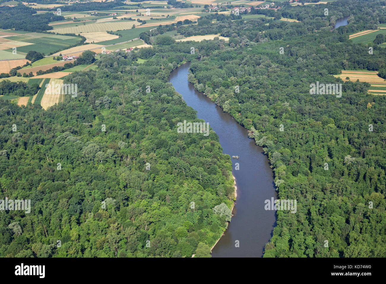 The Mura River in Slovenia in its forested floodplain Stock Photo - Alamy