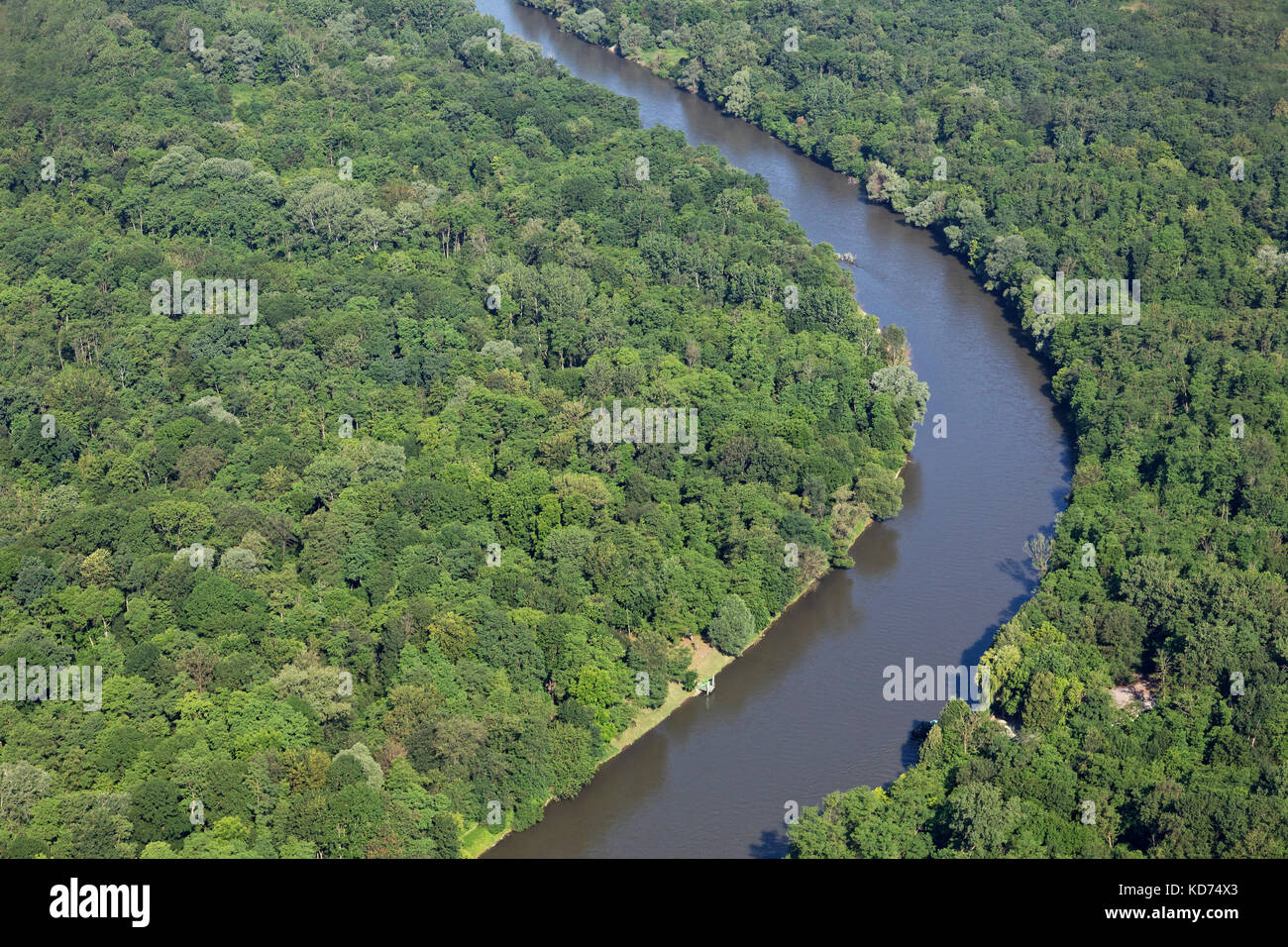 The Mura River in Slovenia in its forested floodplain Stock Photo - Alamy