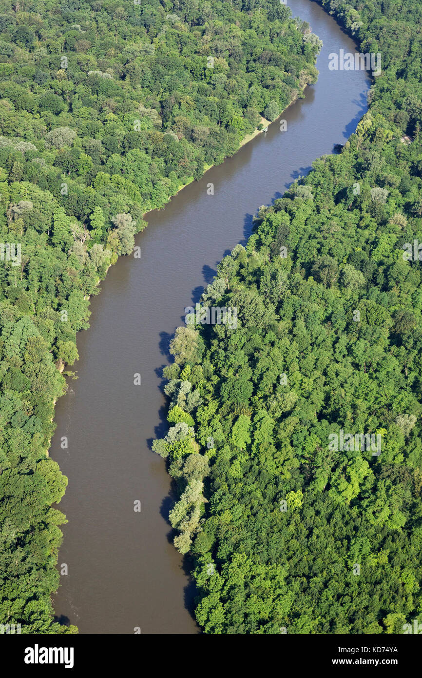 The Mura River in Slovenia in its forested floodplain Stock Photo - Alamy