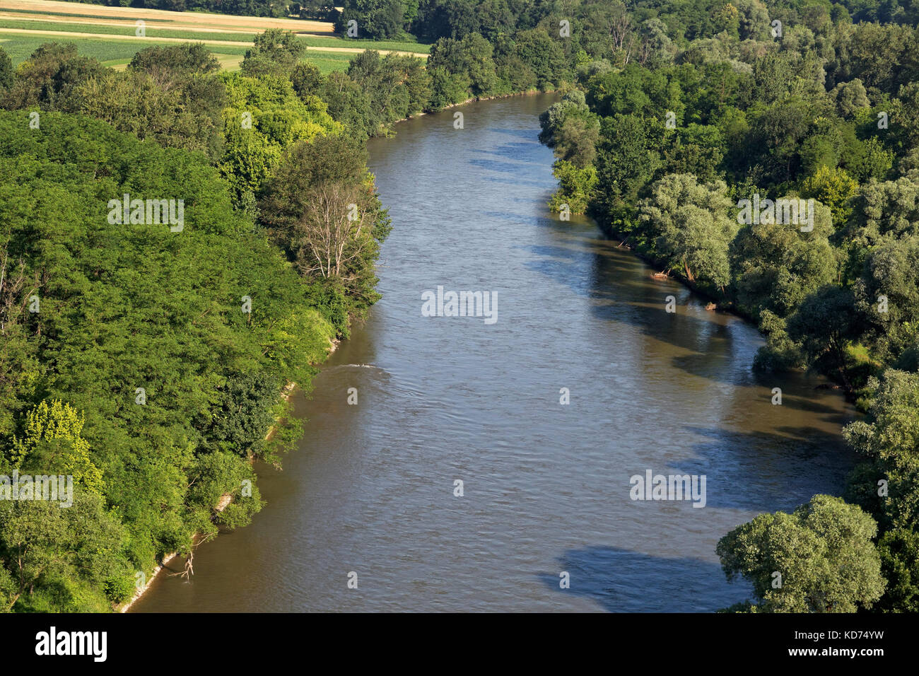 The Mura River in Slovenia in its forested floodplain Stock Photo - Alamy