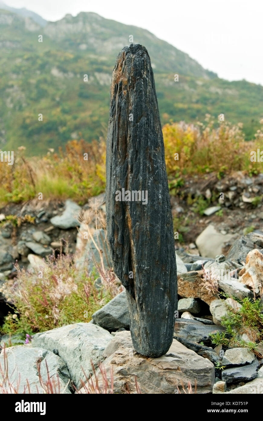 oblong boulder, standing vertically on another stone, against a ...